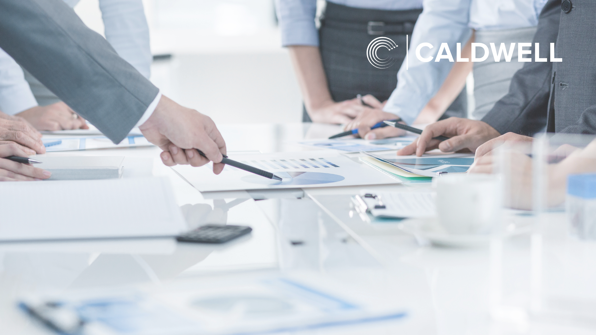 Decoding Delaware Series LLCs: Maximizing Benefits and Minimizing Risks ...